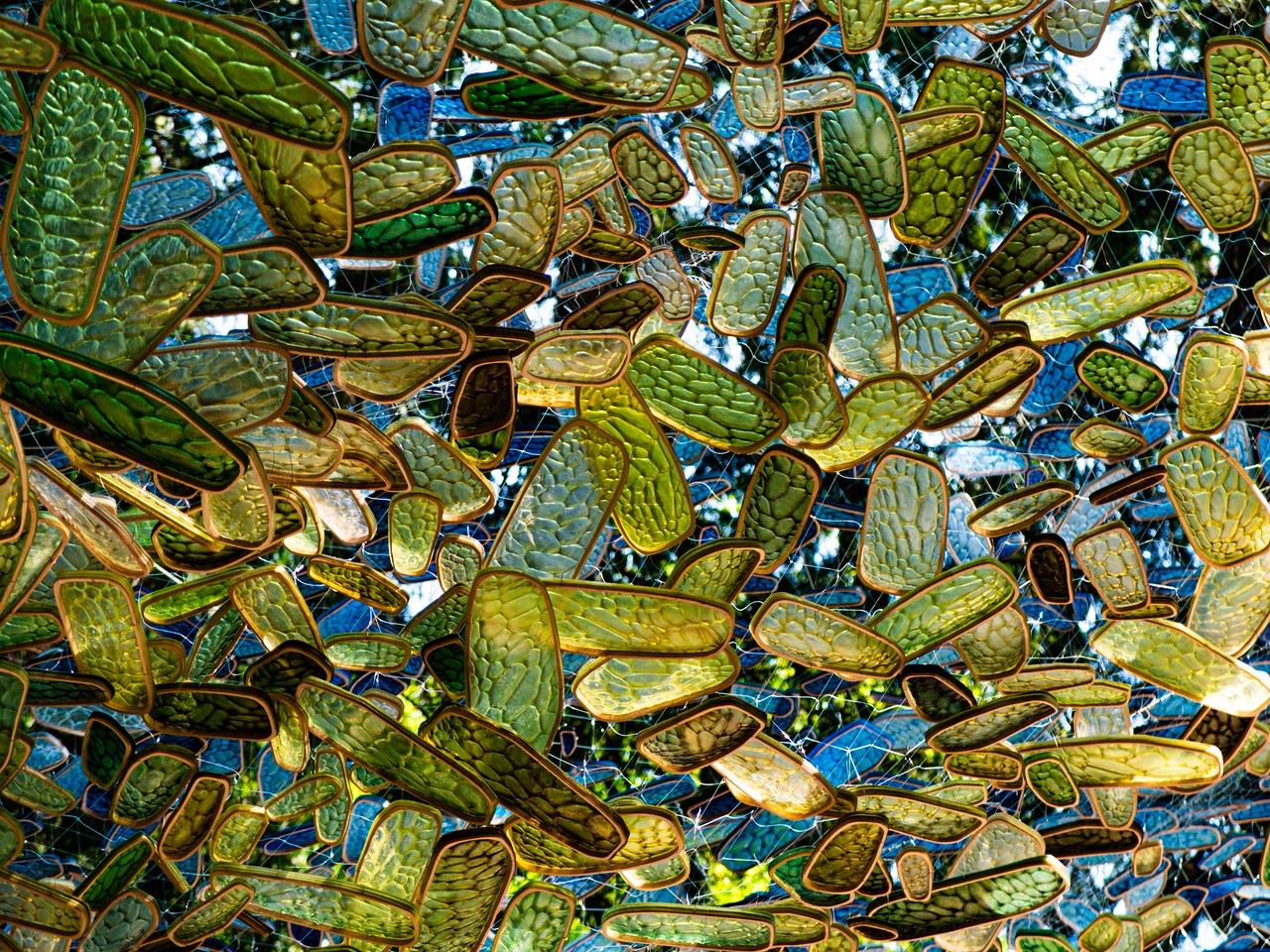 Dr. Ian de Boer - Science in Medicine Lecture, January 29, 2025 | Kidney Research Institute